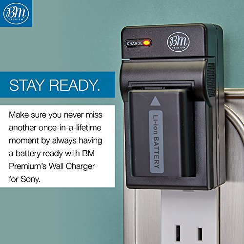 BM Premium 2 NP-FW50 Batteries and Charger for Sony ZV-E10, A6100, A6400, DSC-RX10 IV, DSC-RX10 III, DSCRX10 II, DSC-RX10, Alpha 7, Alpha 7R, a7, a7R, A7s, A7s II, a3000, a5000, a6000, a6300, a6500