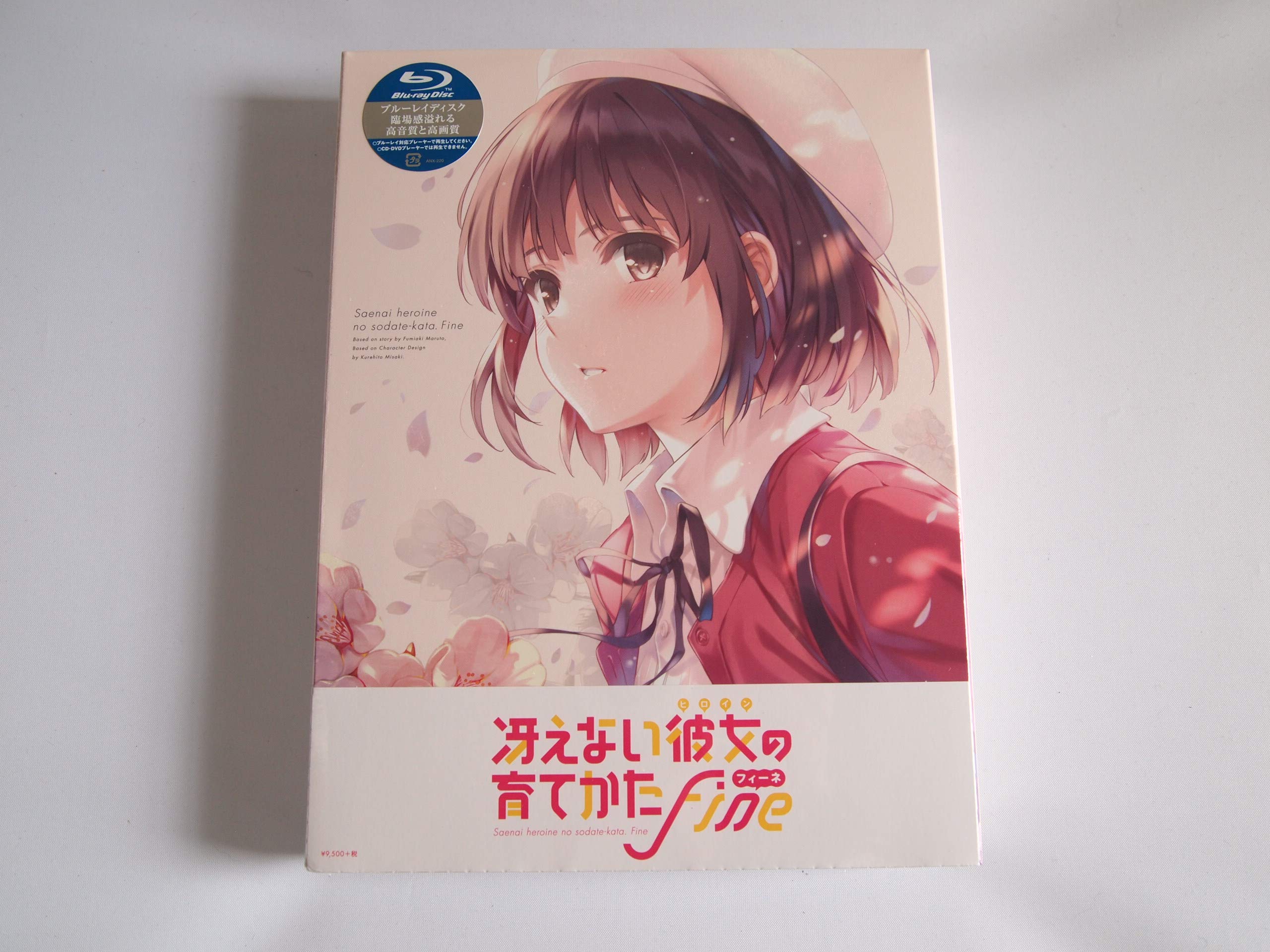Saekano the Movie: Finale How to Raise a Dull Girlfriend Fine (Limited Edition) (Blu-ray) Character draft, drawn by Kurehito Misaki B2 clear poster A5 size with mouse pad
