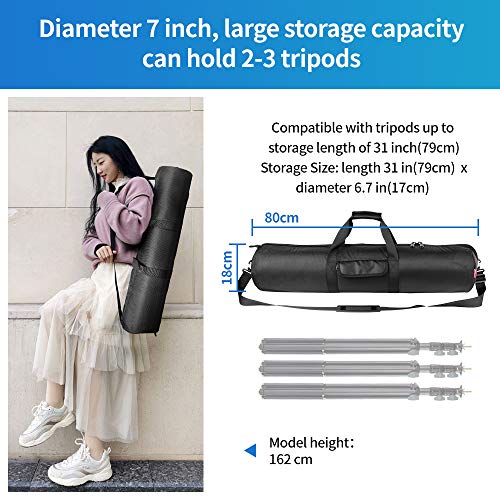 HEMMOTOP Tripod Carrying Case Bag 31.5x7x7in/80x18x18cm Heavy Duty with Storage Bag and Shoulder Strap Padded Carrying Bag for Light Stands, Boom Stand, Tripod,Mic Stand and Tent Pole