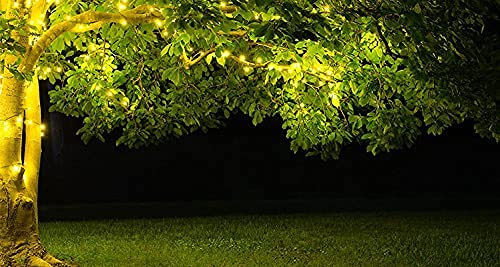 kemooie 2 Pack Outdoor Solar String Lights, 200 LED Upgraded Solar Fairy Lights with Remote, 8 Twinkle Modes Outdoor Christmas Lights for Garden,Christmas, Decorations(Warm White)