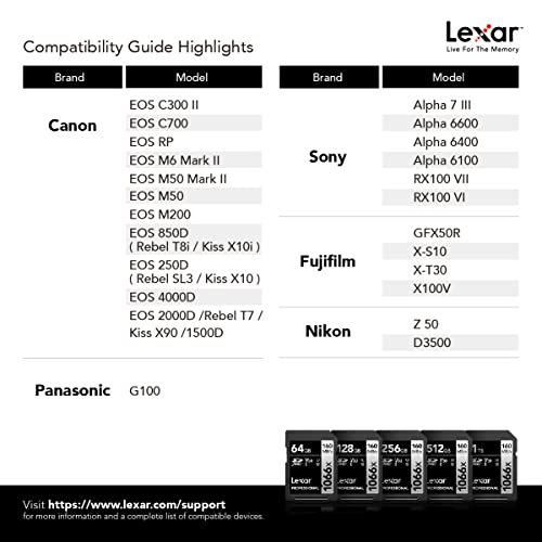 Lexar Professional 1066x 64GB SDXC UHS-I Memory Card SILVER Series, C10, U3, V30, Full-HD & 4K Video, Up To 160MB/s Read, for DSLR and Mirrorless Cameras (LSD1066064G-BNNNU)