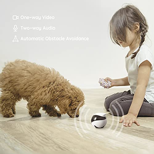Enabot Home Security Pet Camera, Wireless Pet Camera with Self-Charging, Night Vision, Camera for Pet Elderly Baby, 16GB SD Storage APP Remote Control