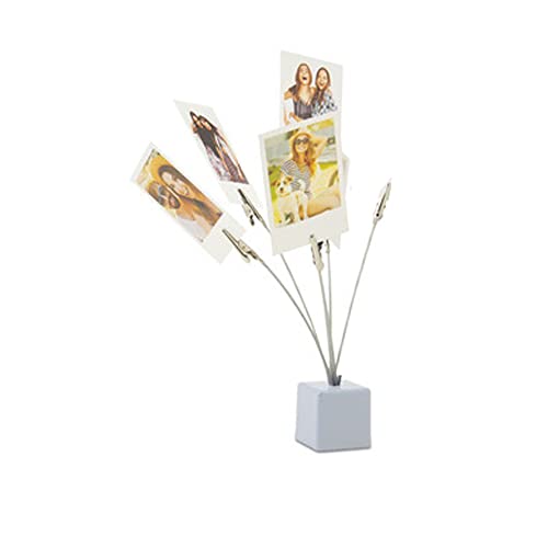 Fujifilm Instax Mini Instant Film Twin Pack (Total 20 Shoots) + 20 Sticker Film Frames + Photo Bouquet Holder