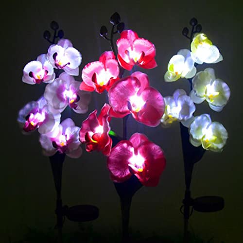 Aolyty Solar Garden Lights Outdoor, IP65 Waterproof Solar Stake Lights Butterfly Orchid Flowers Lights for Lawn Patio Backyard Landscape Party Decorative (Purple, 2 Pack)