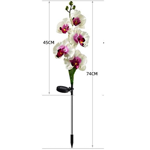Aolyty Solar Garden Lights Outdoor, IP65 Waterproof Solar Stake Lights Butterfly Orchid Flowers Lights for Lawn Patio Backyard Landscape Party Decorative (Purple, 2 Pack)
