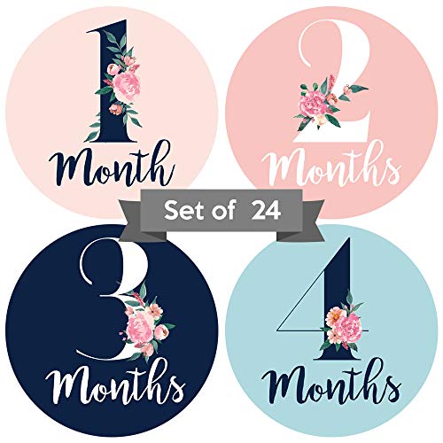 Baby Monthly Stickers | Floral Baby Milestone Stickers | Newborn Girl Stickers | Month Stickers for Baby Girl | Baby Girl Stickers | Newborn Monthly Milestone Stickers (Set of 24)