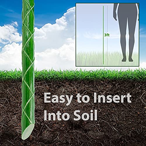 Eco Friendly 4-FT Fiberglass Garden Stakes, Tomato Stakes, Plant Stakes (Pack of 20), 0.31-Inch Dia
