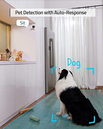 eufy Security 2K Indoor Cam, Plug-in Security Indoor Camera with Wi-Fi, IP Camera,Human and Pet AI, Works with Voice Assistants, Night Vision, Two-Way Audio, HomeBase Not Required (Renewed)