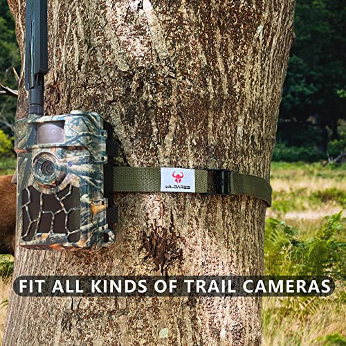 WILDARES 1" x 6.6' Trail Cam Strap,Trail Camera Strap,1800 lbs,Heavy-Duty Game Camera Strap,Tree Belts,Durable Nylon Fiber,Long-Lasting Alloy Buckle,Pack of 2