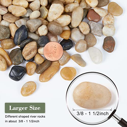 Future Way 10lbs Rocks for Plants, Aquarium, Fish Tank, Pots Indoor, Garden Landscaping, 3/4-1 1/2 Inch, Mixed Colors