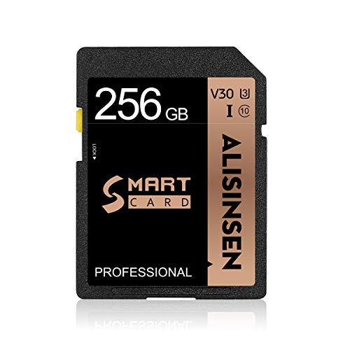 256GB SD Cards Memory Card 512GB High Speed Class 10 Secure Digital Cards for Body Camera ďźTablets and Drones