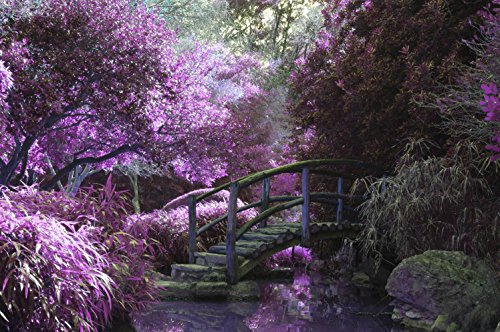 G & F Products MiniGardenn 10030 Fairy Garden Miniature Mini Bridge, Rustic, 4" L x 1.25" W x 2.5" H with 2" Picks