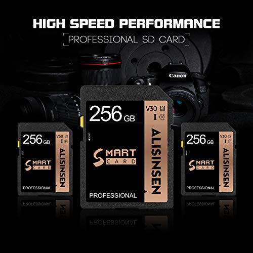 256GB SD Cards Memory Card 512GB High Speed Class 10 Secure Digital Cards for Body Camera ,Tablets and Drones