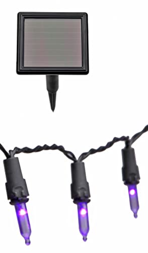 DecoBrite Halloween Solar Purple String Lights Outdoor 21ft (6.3m) 50 ct LED Mini Lights on Black Wire for Garden Tree Yard Patio Party Decoration (Purple)