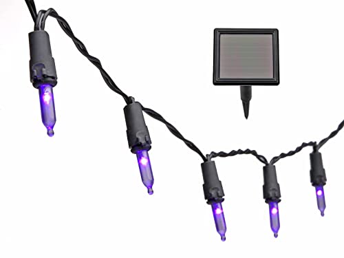 DecoBrite Halloween Solar Purple String Lights Outdoor 21ft (6.3m) 50 ct LED Mini Lights on Black Wire for Garden Tree Yard Patio Party Decoration (Purple)
