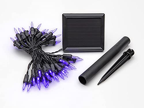 DecoBrite Halloween Solar Purple String Lights Outdoor 21ft (6.3m) 50 ct LED Mini Lights on Black Wire for Garden Tree Yard Patio Party Decoration (Purple)