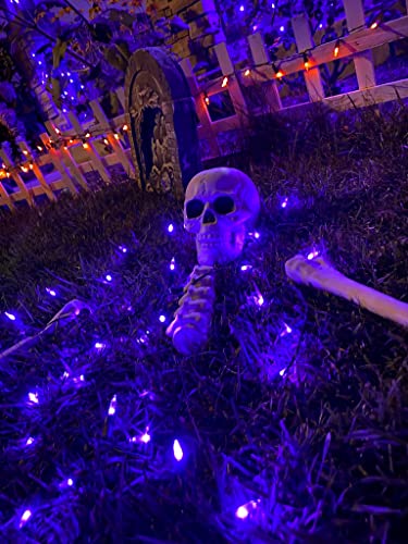 DecoBrite Halloween Solar Purple String Lights Outdoor 21ft (6.3m) 50 ct LED Mini Lights on Black Wire for Garden Tree Yard Patio Party Decoration (Purple)