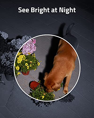 eufy security SoloCam L20, Spotlight Camera, Wireless Outdoor Security Camera, Battery Camera, Ultra-Bright, 1080p Resolution, Color Night Vision, No Monthly Fee