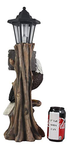 Ebros Home of The Brave Patriotic American Bald Eagle Perching On Tree Stump Garden Courtesy Night Light Statue Solar LED Lantern Lamp Guest Greeter Decor for Patio Poolside Home Figurine