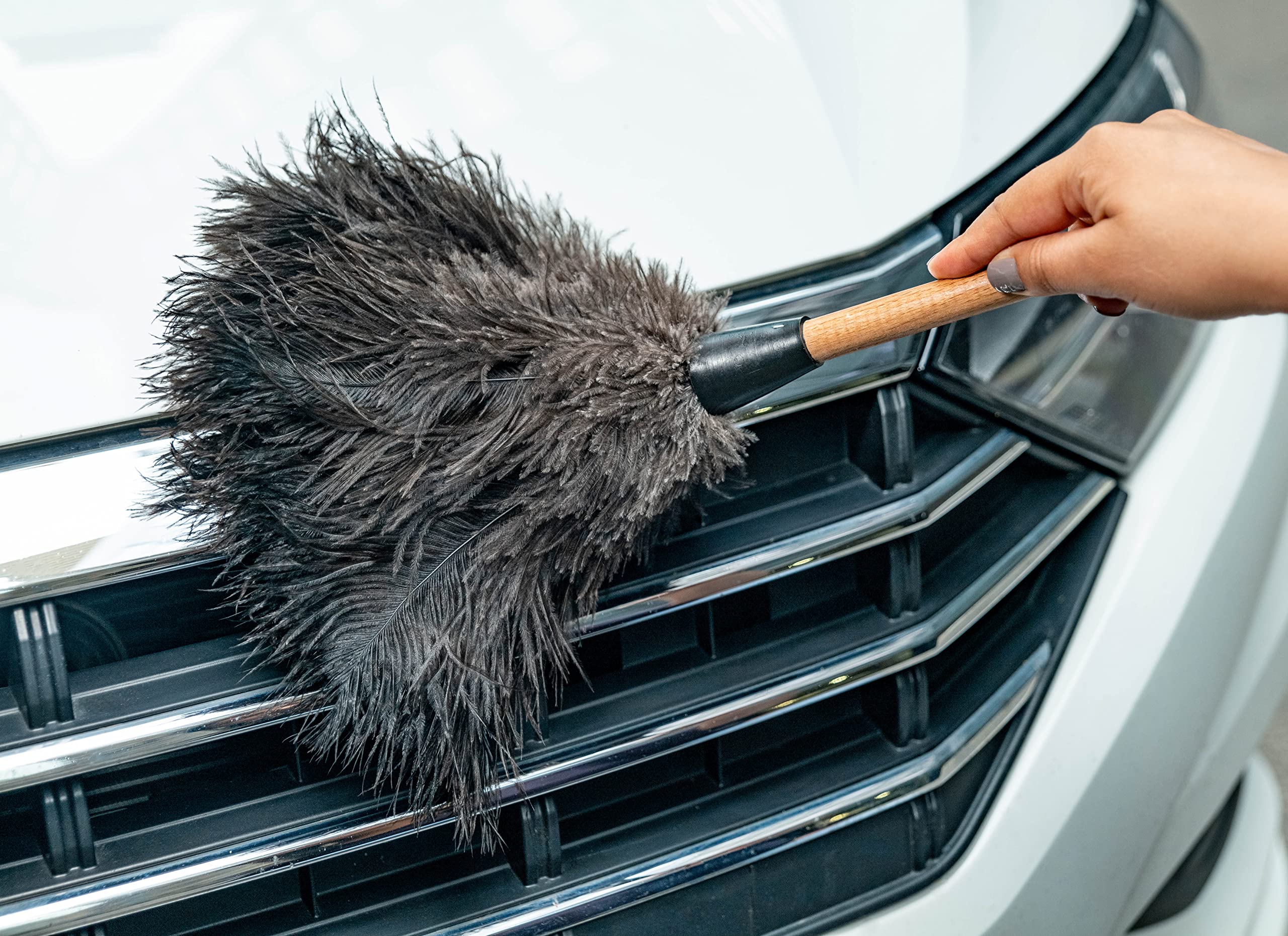ROYAL DUSTER Black Ostrich Feather Duster (14")