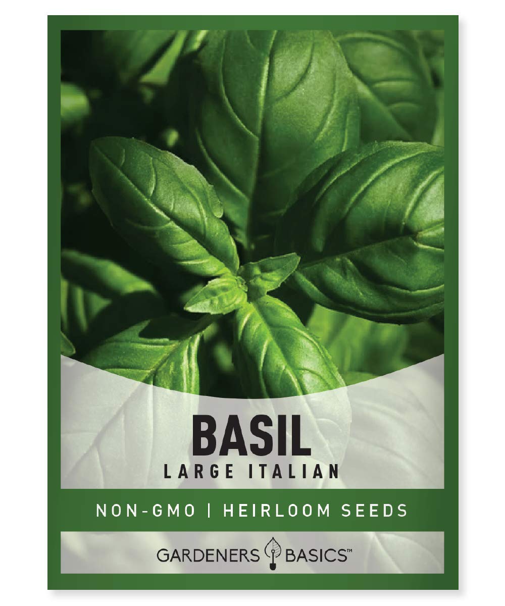 Basil Seeds for Planting (Large Leaf) Heirloom Non-GMO Herb Plant Seeds for Home Herb Garden Indoors, Outdoors, and Hydroponics by Gardeners Basics