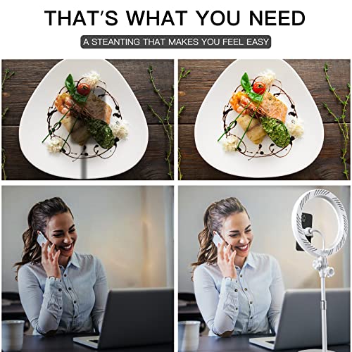 Video Conference Lighting for Laptop Computer, 10.5'' Selfie Ring Light with Stand and Phone Holder for Remote Working, Zoom Meeting Calls, Webcam Lighting, Live Streaming, Video Recording (White)