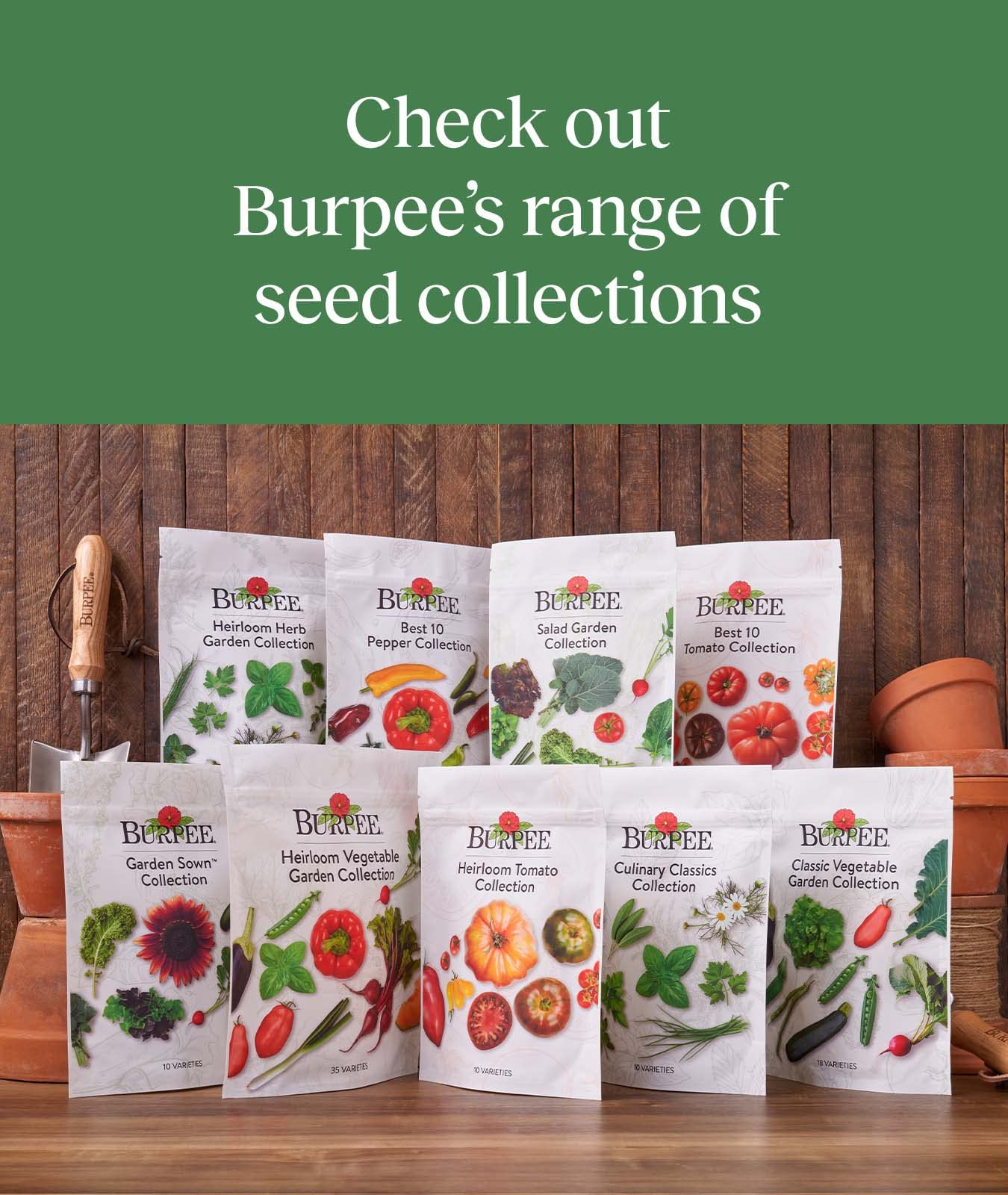Burpee Culinary Classics Garden Collection 10 Packets of Non-GMO Chives, Cilantro, Basil, Sage, Thyme, Dill, Parsley, Chamomile, Marjoram & Oregano | Kitchen Herb Variety Pack, Seeds for Planting