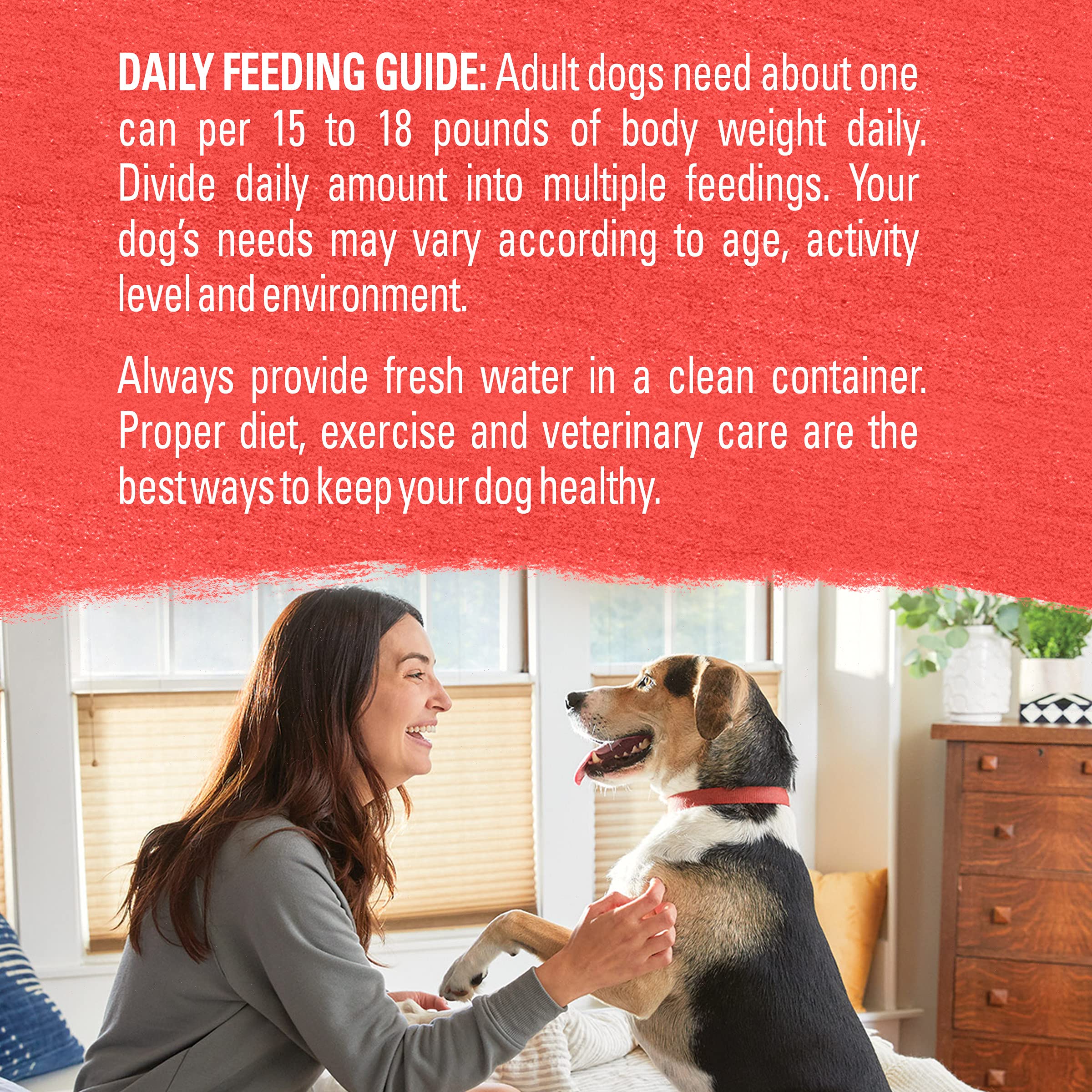 Purina Beyond Beef, Potato, And Green Bean Grain Free Wet Dog Food Natural Pate With Added Vitamins And Minerals - (12) 13 Oz. Cans