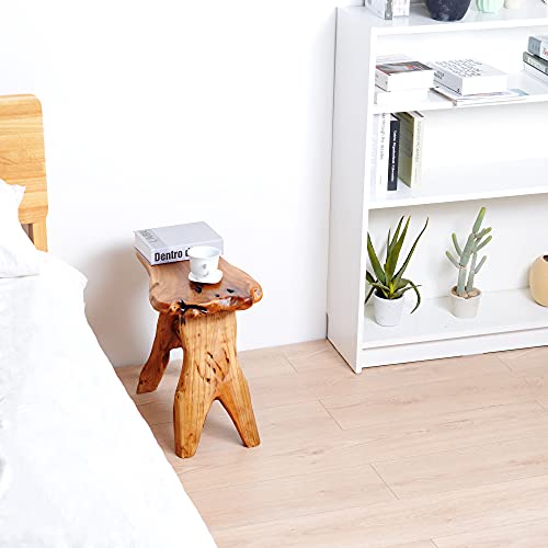 Brefhome Wooden Tree Stump Plant Stand Stool Side Table,Small Natural Wood Bench,Indoor/Outdoor Use