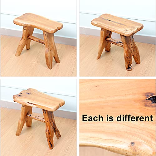 Brefhome Wooden Tree Stump Plant Stand Stool Side Table,Small Natural Wood Bench,Indoor/Outdoor Use