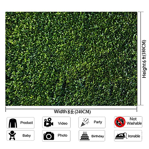 XLL Nature Spring 3D Green Leaves Photography Backdrops Newborn Baby Shower Photo Background Wall Art Wedding Birthday Party Decoration Banner Studio Props Cake Table Booth 8x6ft