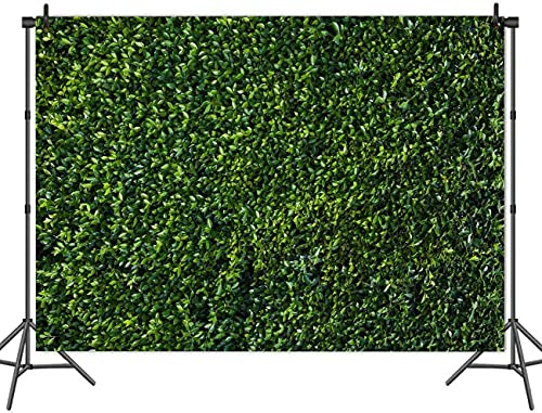 XLL Nature Spring 3D Green Leaves Photography Backdrops Newborn Baby Shower Photo Background Wall Art Wedding Birthday Party Decoration Banner Studio Props Cake Table Booth 8x6ft