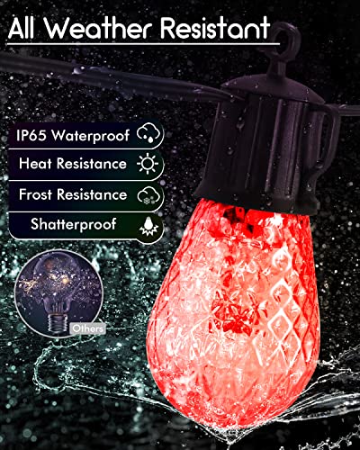 Solar Patio Lights Outdoor Waterproof, 48 FT Solar String Lights Dimmable, Timer, APP&Remote, String Lights for Outside Solar Powered Outdoor Solar String Lights for Yard, Backyard, Garden Decor