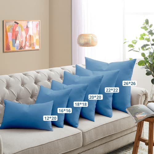 puredown® Outdoor Waterproof Throw Pillows, 16 x 16 Inch Feathers and Down Filled Decorative Square Pillows for Garden Patio Bench, Pack of 2, Blue