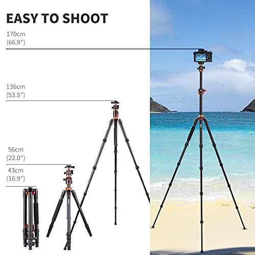 K&F Concept 67 inch Camera Tripod Horizontal Aluminum Tripods Portable Monopod with 360 Degree Ball Head Quick Release Plate for DSLR Cameras T255A4+BH-28L (TM2515T1)