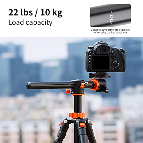 K&F Concept 67 inch Camera Tripod Horizontal Aluminum Tripods Portable Monopod with 360 Degree Ball Head Quick Release Plate for DSLR Cameras T255A4+BH-28L (TM2515T1)