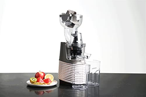 TANACC Portable Juice Blender Large caliber Electric Fruit Juicer Separation pomace juice Blender Machine Mixer vegetables food processor