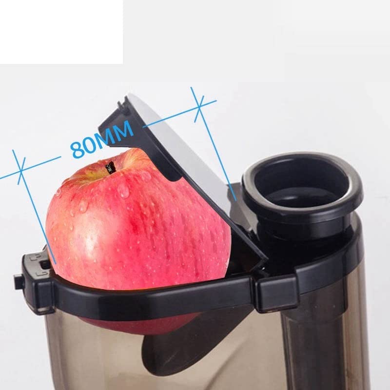 TANACC Portable Juice Blender Electric Multifunction Juicer Fruit Ice Cream Maker Household Food Processor Juice Extractor Stainless Steel Body
