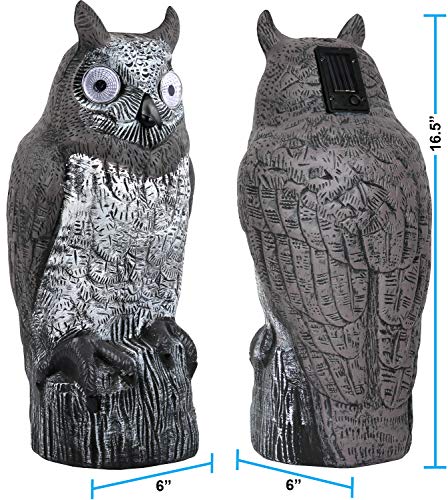 Galashield Owl Decoy | Plastic Owls to Scare Birds Away with Solar Powered LED Eyes | Owl Statue for Garden & Outdoors
