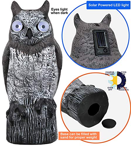 Galashield Owl Decoy | Plastic Owls to Scare Birds Away with Solar Powered LED Eyes | Owl Statue for Garden & Outdoors