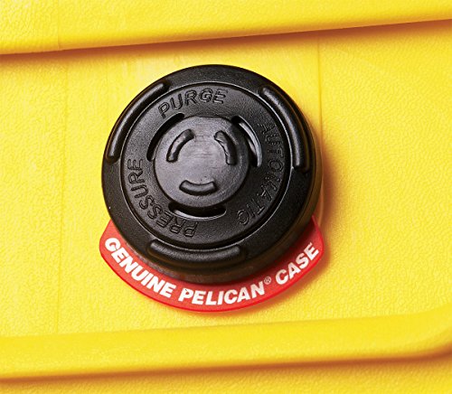 Pelican 1520 Case With Foam (Black)