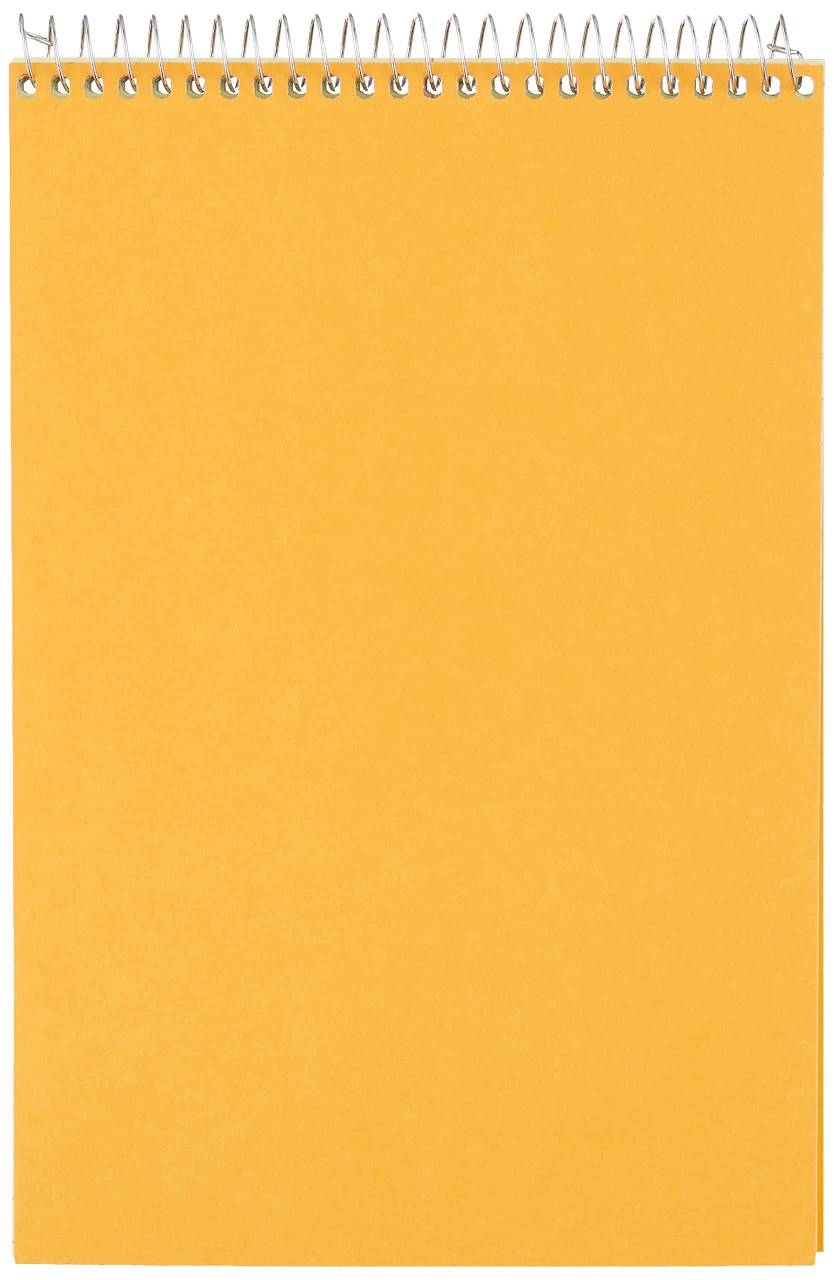 National Brand Steno Notebook with Brown Board Cover, Green Eye-Ease Paper, Gregg Ruled, 6" x 9", 12 Notebooks with 60 Sheets Each (36646-12)