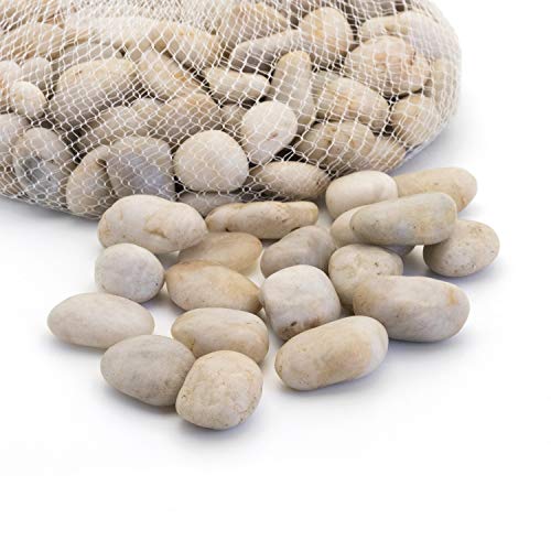 Royal Imports 5LBS River Rocks Decorative Ornamental Pebbles, Garden Landscaping Stones, Gravel Filler for Plants, Vases, Succulents, Home Decor, Aquariums, Crafting, Animal Habitat - Large Light