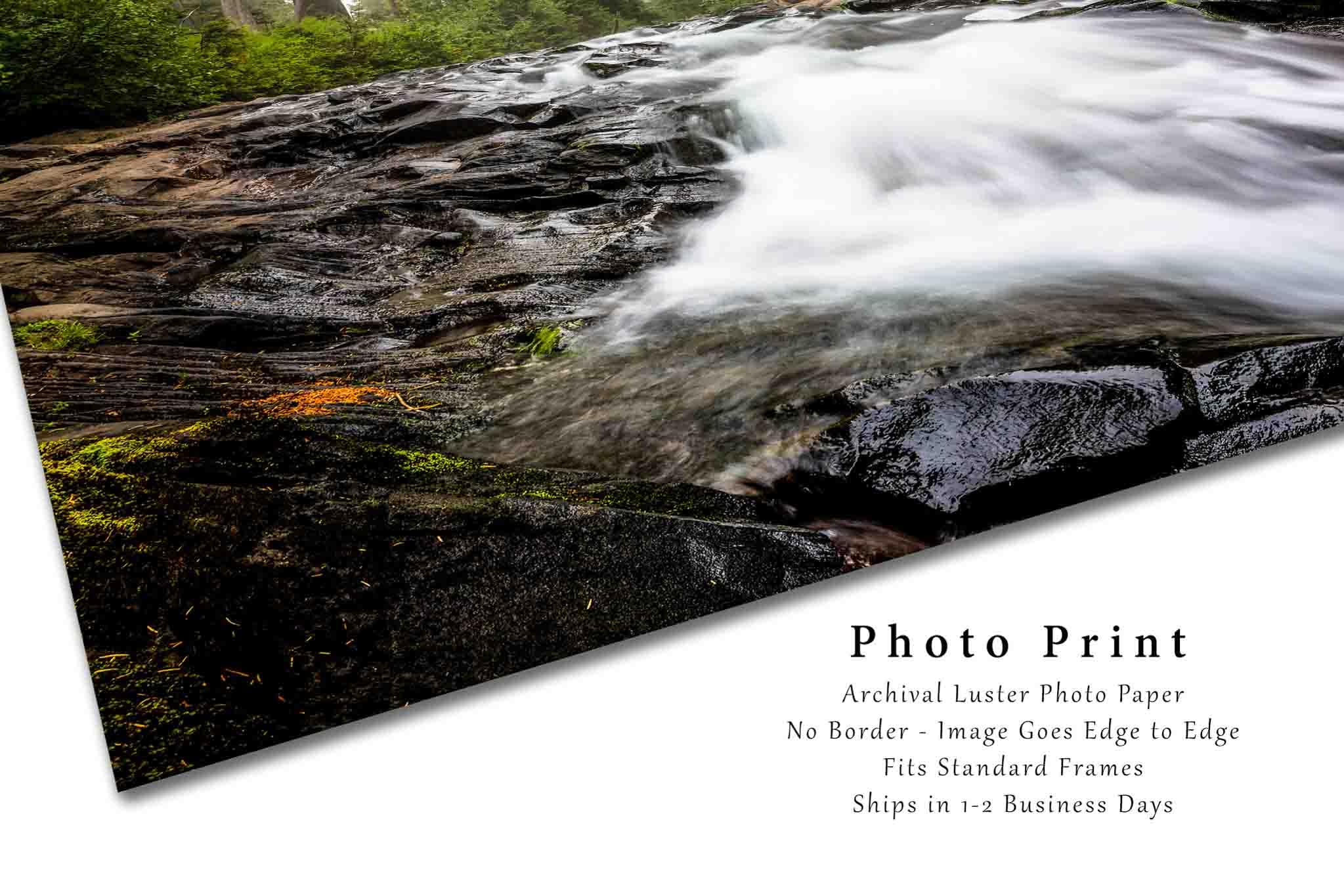 Pacific Northwest Photography Print (Not Framed) Picture of Paradise River Rapids in Mount Rainier National Park Washington State Forest Wall Art Nature Decor (40" x 60")