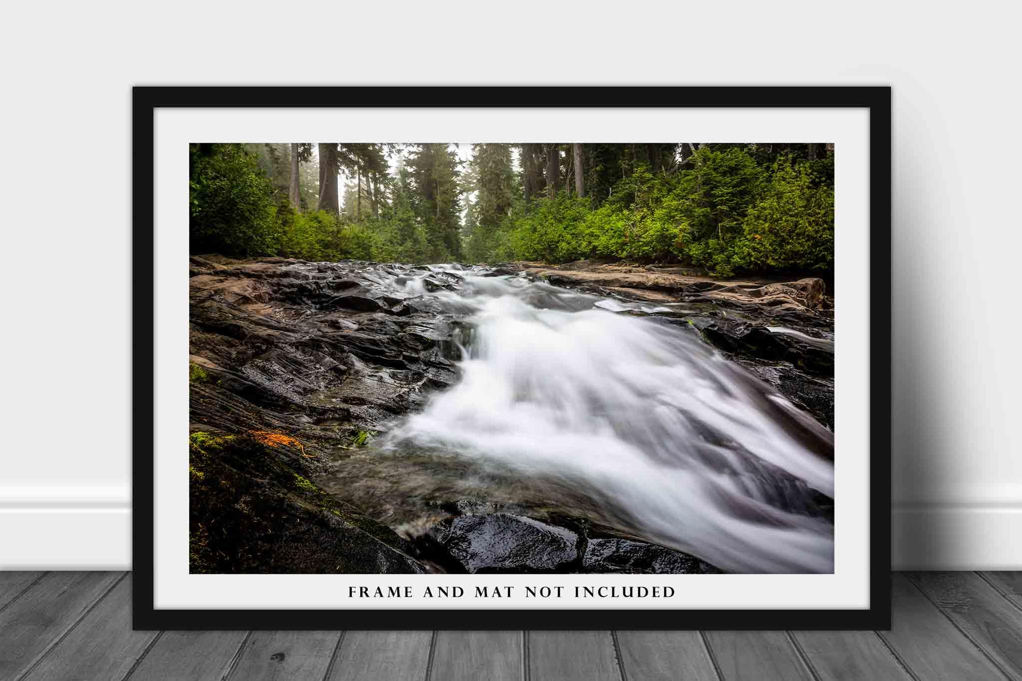 Pacific Northwest Photography Print (Not Framed) Picture of Paradise River Rapids in Mount Rainier National Park Washington State Forest Wall Art Nature Decor (40" x 60")