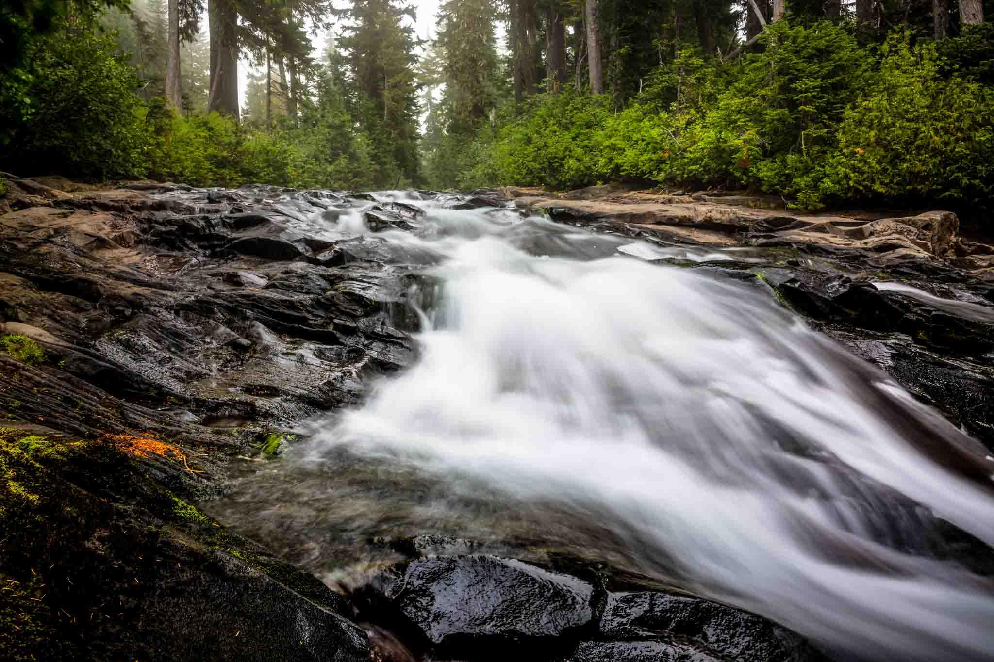 Pacific Northwest Photography Print (Not Framed) Picture of Paradise River Rapids in Mount Rainier National Park Washington State Forest Wall Art Nature Decor (40" x 60")