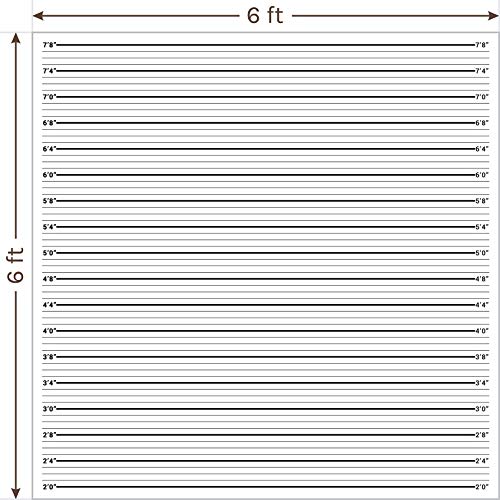 Mugshot Photo Booth Backdrop Banner - 6x6ft, Wide Enough for Everyone, Accurate Measurements for Bachelorette Party, Girls Night Out, Height Charts