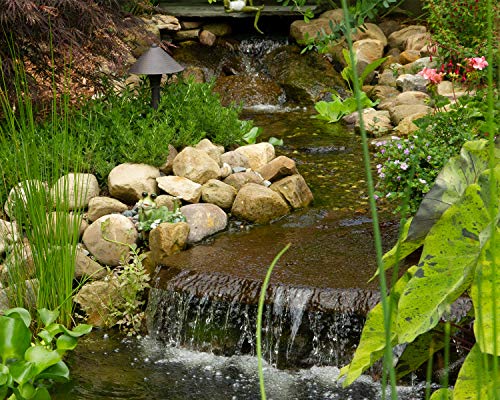 Atlantic Water Gardens BF1900 Pond Filter & Waterfall Spillway, 19-inch, Black
