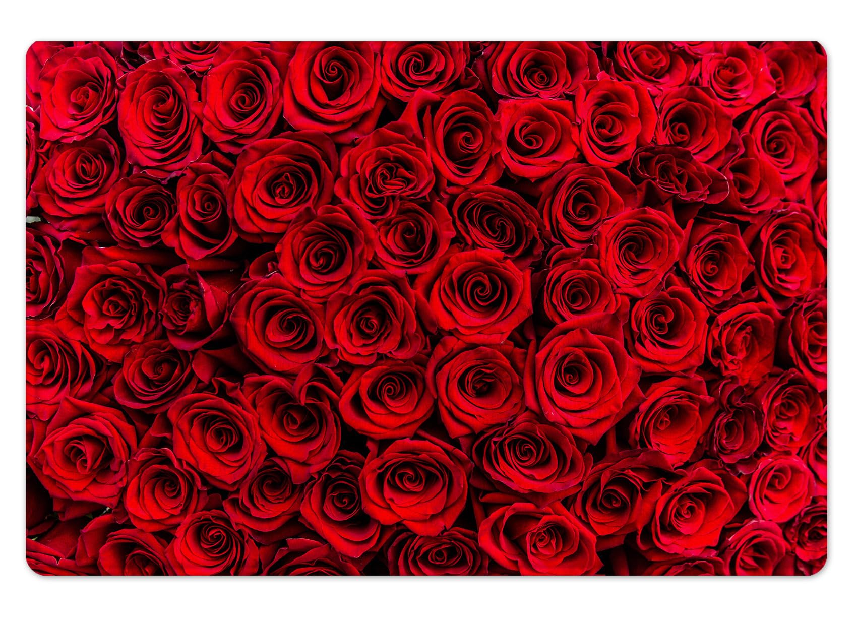 LB Happy Valentine's Day Bathroom Rug Red Rose Flower Bath Mat Romantic Floral Doormat Non Slip Memory Foam Super Absorbent Floor Mats,24Wx16H Inch