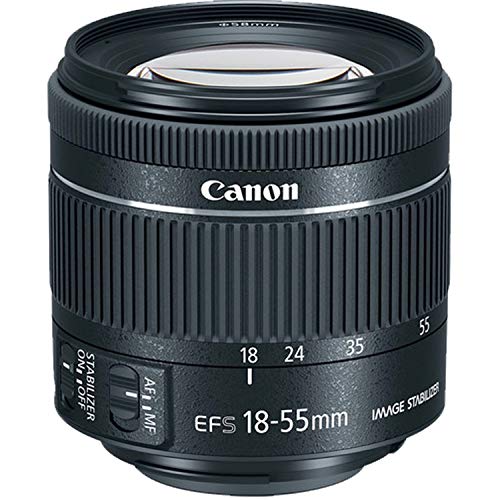 Canon EOS Rebel SL3 DSLR Camera with 18-55mm f/4-5.6 is STM Zoom LensĀ , 64GB Memory,Case, Tripod and More (28pc Bundle)